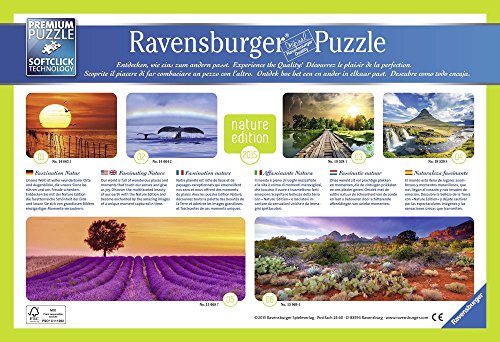 Ravensburger puzzle 1000 pezzi: campi di lavanda, nature edition ...